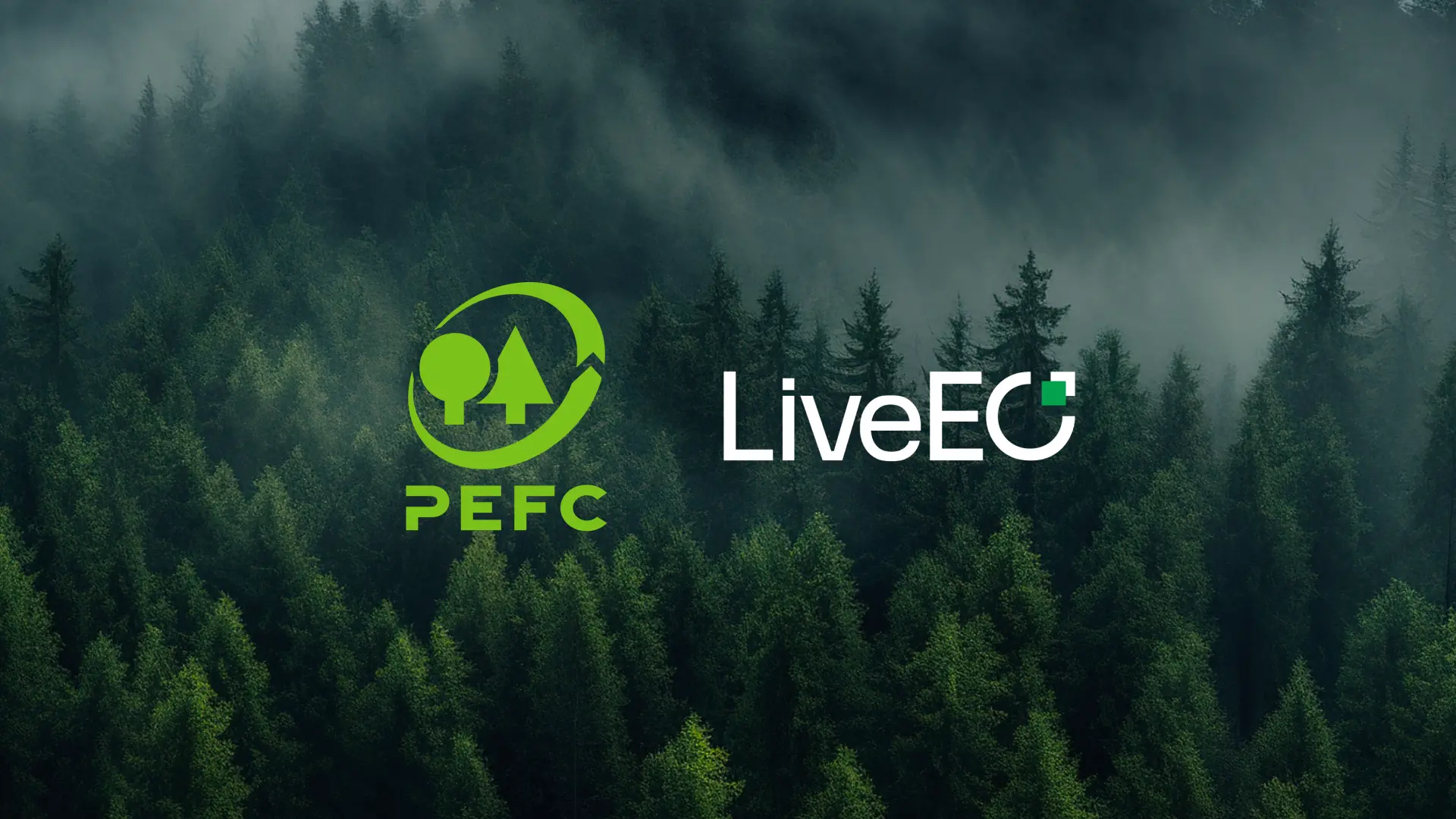 LiveEO | Enterprise-Ready Insights from Satellite Data at Scale